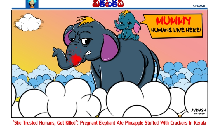 కార్టూన్ 06-06-2020 | Cartoon 06 06 2020 | TV9 Telugu