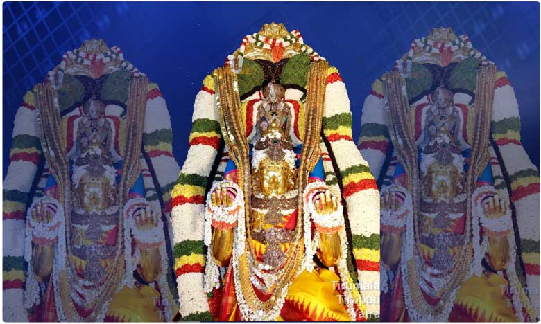 తిరుమల బ్రహ్మోత్సవాలలో గరుడవాహనసేవే ప్రత్యేకం | Garuda gamana ...