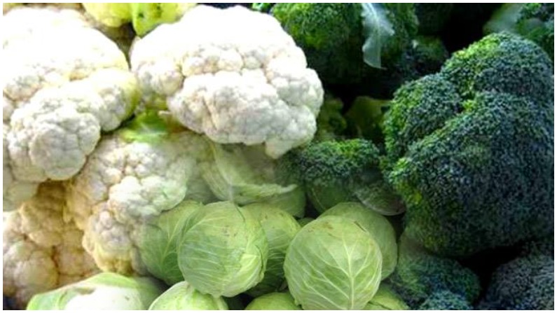 Lungs Health Tips: అసలే కరోనా కాలం.. ఊపిరితిత్తుల ఆరోగ్యం కోసం.. ఈ ...