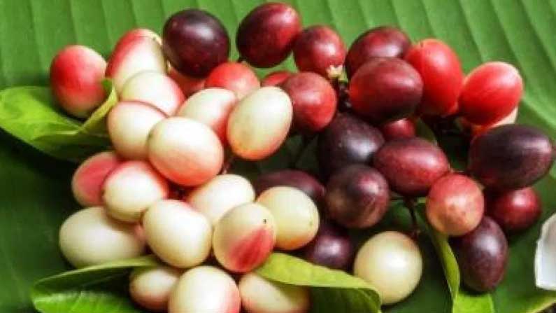 Vakkaya Benefits: విటమిన్ 'సి' అధికంగా ఉండే వాక్కాయ తింటే కలిగే ఆరోగ్య ...