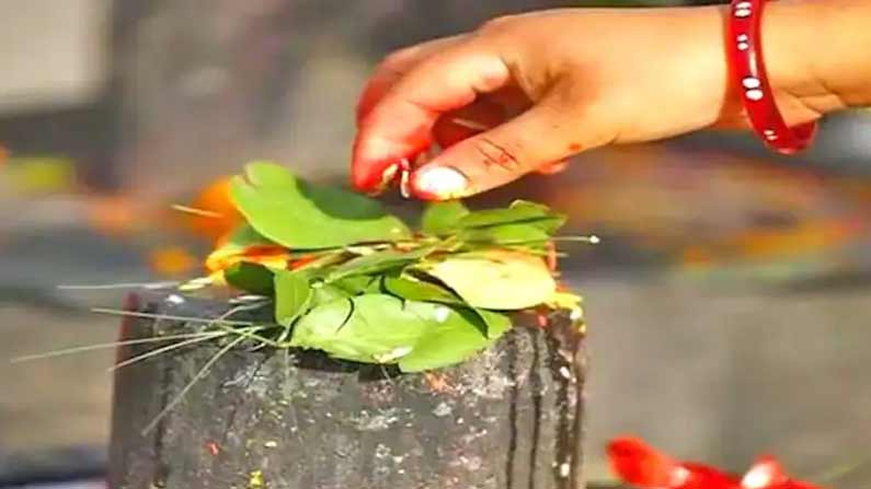 Bilwa Patra: బిల్వపత్రం ఎన్ని రకాలు.. ఏయే బిల్వపత్రాలతో పూజిస్తే ఏయే ...