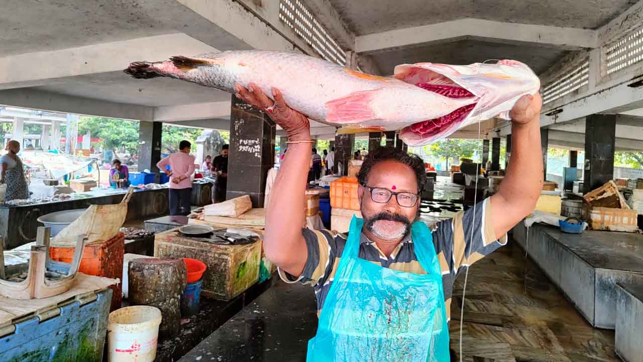 Pandugappa Fish: వలకు చిక్కిన భారీ పండుగప్ప.. ఎంత ధర పలికిందంటే ...