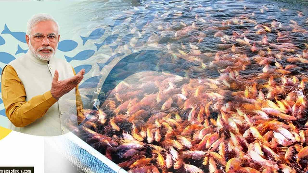 PMMSY Scheme: రైతులకు గుడ్‏న్యూస్.. ఈ స్క్రీమ్‏తో వారికి అనేక ...