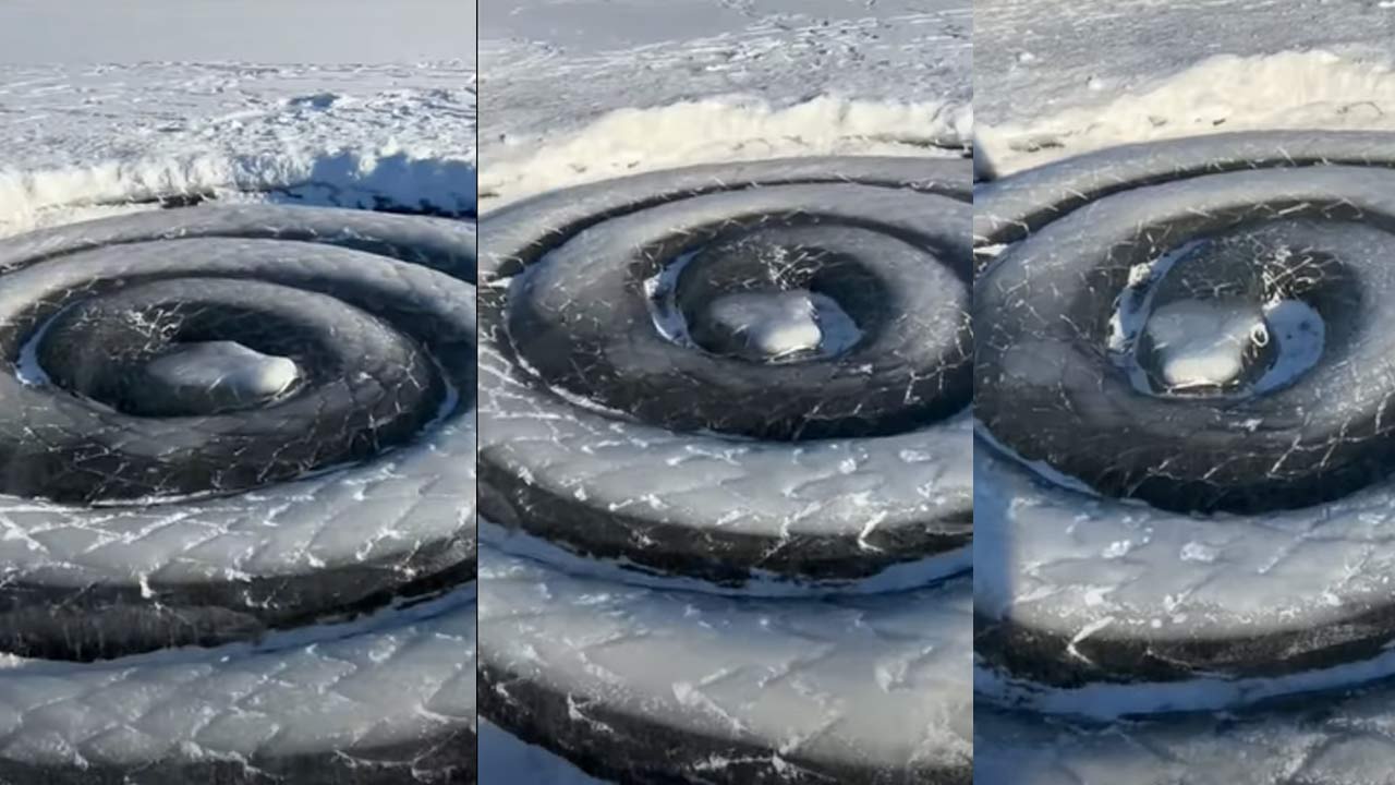 Viral Video: మంచులో చిక్కుకున్న భారీ అనకొండ.. తీరా దగ్గరకెళ్ళి చూస్తే ...