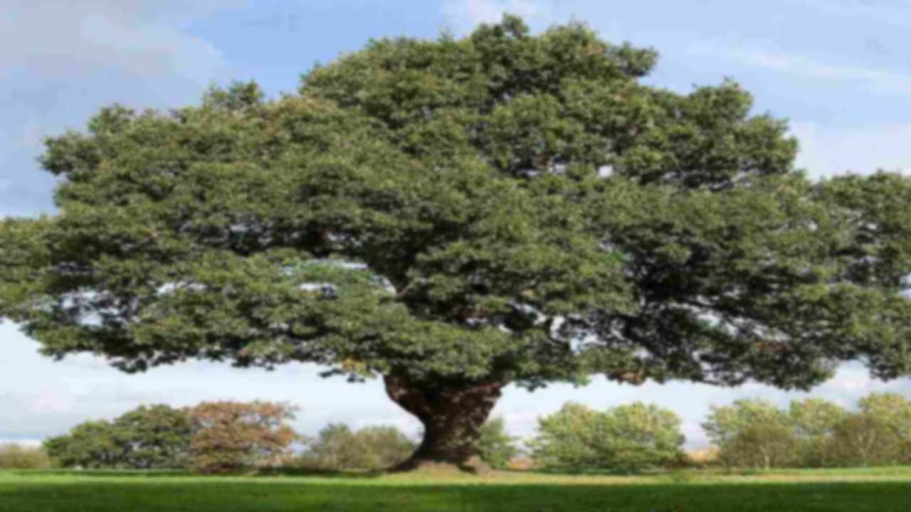 Russia Ukraine War: ‘పుతిన్’ కారణంగా పుట్టెడు కష్టాలు ఎదుర్కొంటున్న 198 ...