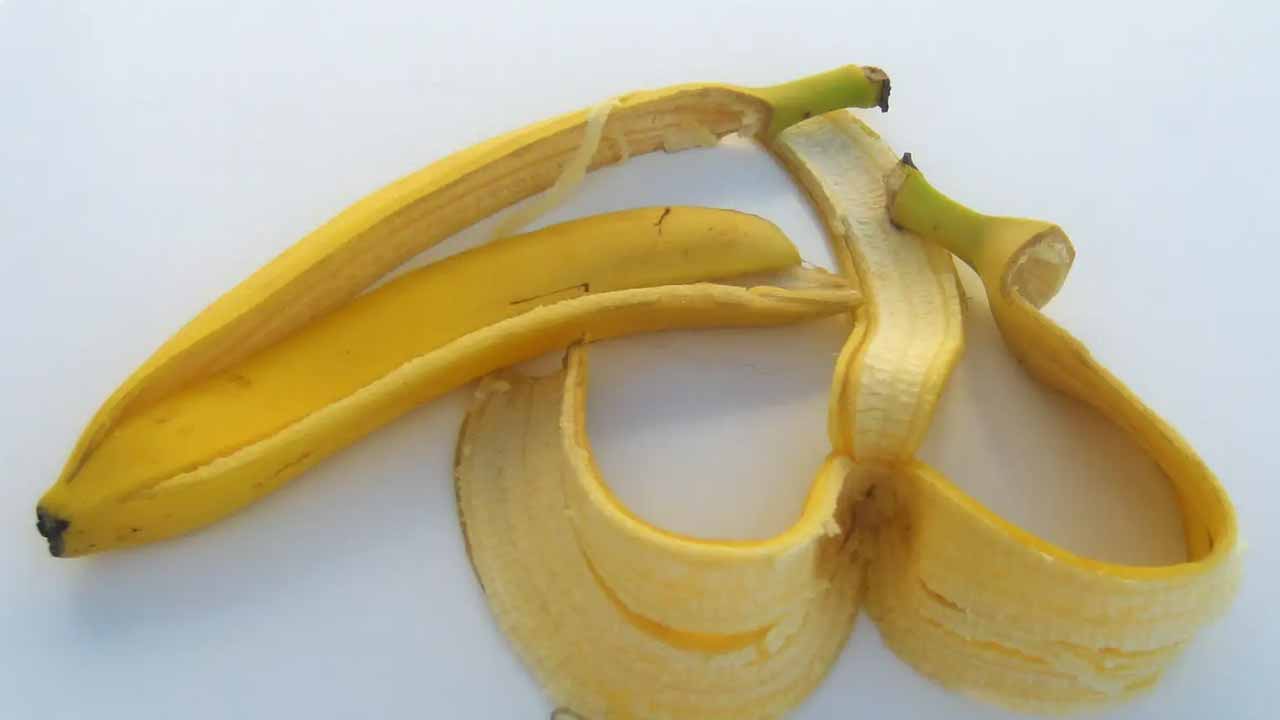 Banana Peel Benefits banana-peel-benefits