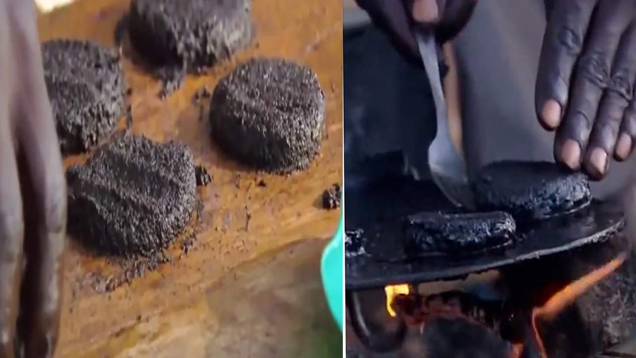 Mosquito Burgers: ఆకలి తీర్చుకునేందుకు దోమల బర్గర్లు తింటున్న ఆ పేద దేశ ...