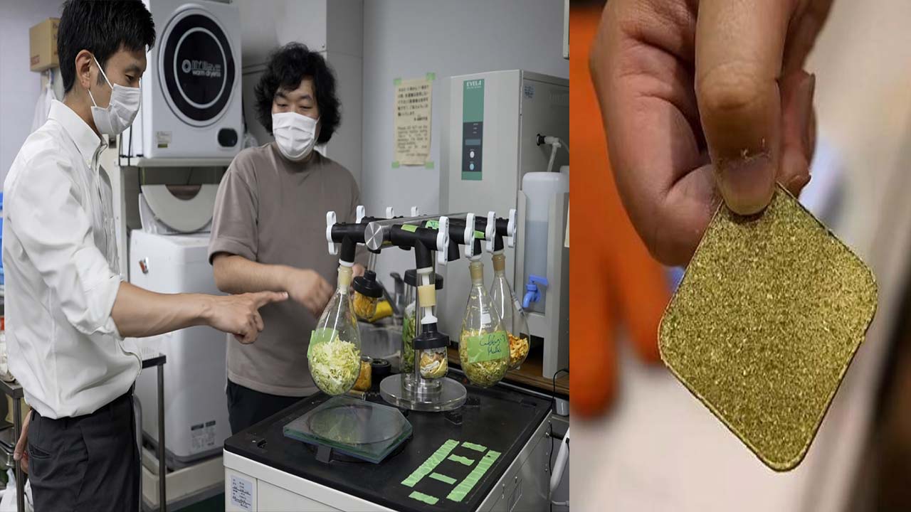 Edible Cement: ఆ దేశంలో పెరిగిపోతున్న ఫుడ్ వేస్టేజ్.. వ్యర్ధాలకు అర్ధం ...
