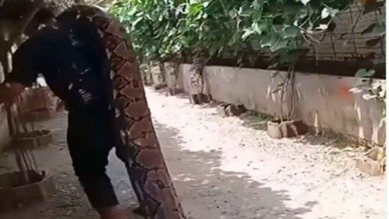 Viral Video: బాబోయ్‌..ఇది హర్రర్‌ మూవీ క్లిప్‌ కాదుకదా..? భారీ ...