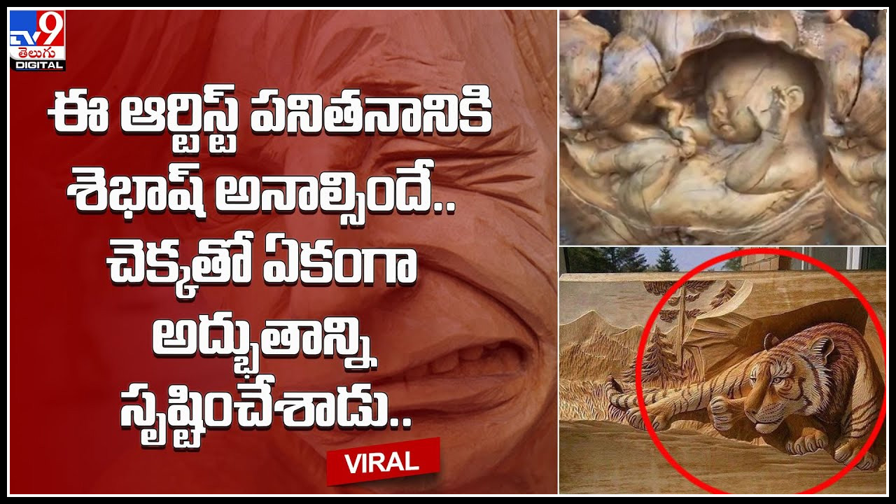 Wood Art: ఈ ఆర్టిస్ట్ పనితనానికి శెభాష్ అనాల్సిందే.. చెక్కతో ఏకంగా ...