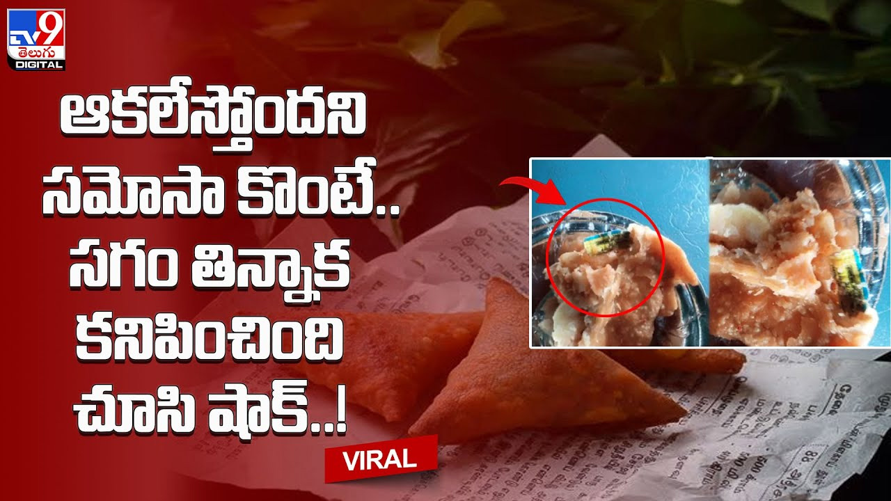 Samosa in train: ఆకలేస్తోందని సమోసా కొంటే.. సగం తిన్నాక కనిపించింది ...