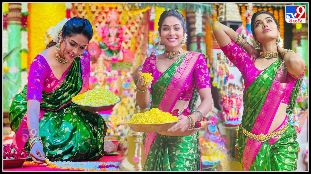 Divi Vadthya: నాగస్వరంలాంటి నడుముతో , సోకు ఏమో పూలవనంలా కుర్రాళ్ల ఎదకు ...