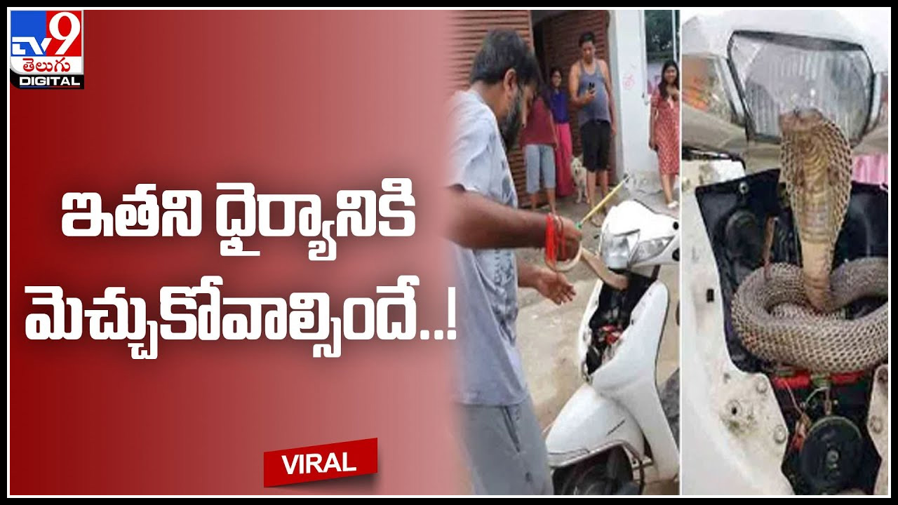 Snake in bike: ఇతని ధైర్యానికి మెచ్చుకోవాల్సిందే..! స్కూటీ ముందు భాగంలో దూరిన నాగుపాము.. వీడియో ...