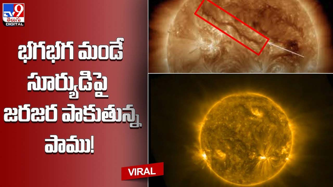 Solar Snake: భగభగ మండే సూర్యుడిపై జరజర పాకుతున్న పాము | Solar snake ...