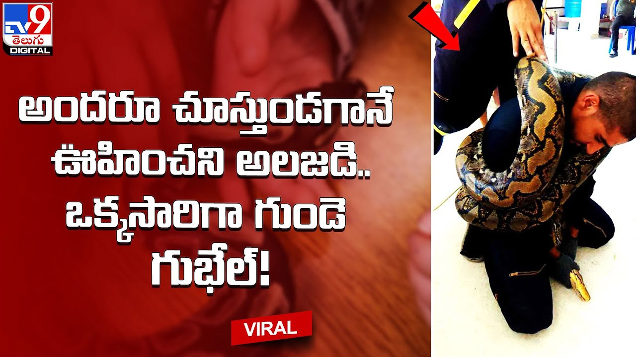 అందరూ చూస్తుండగానే ఊహించని అలజడి.. ఒక్కసారిగా గుండె గుభేల్ !! | Gaint ...